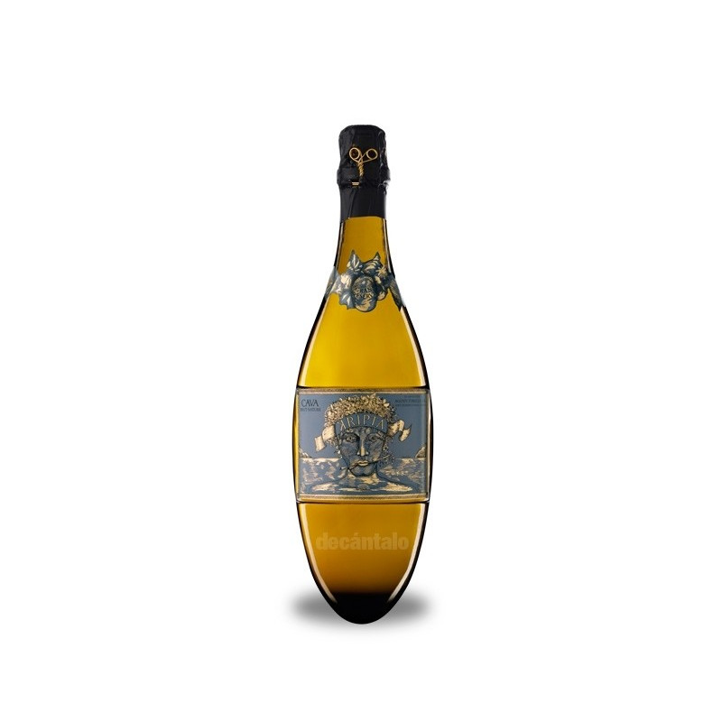 Celler Kripta Gran Reserva 2015. Koop cava van D.O. Cava.